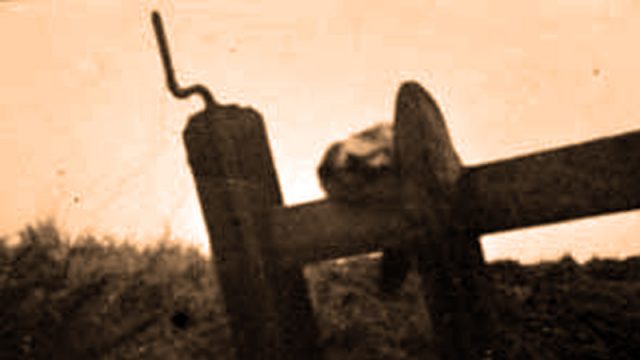 Who Was Gef The Talking Mongoose? | Spooky Isles