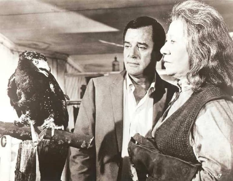 The Shuttered Room 1967 REVIEW | Spooky Isles