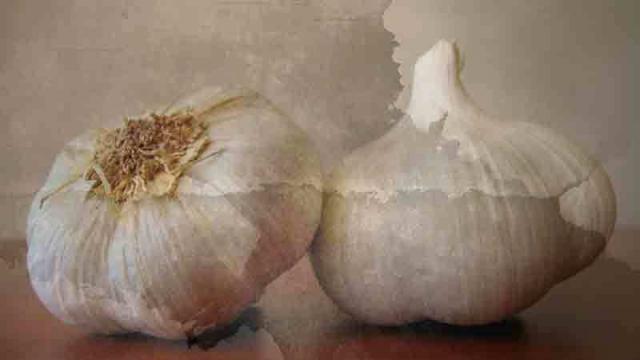 Learn Garlic's Natural And Supernatural Powers And Benefits | Spooky Isles