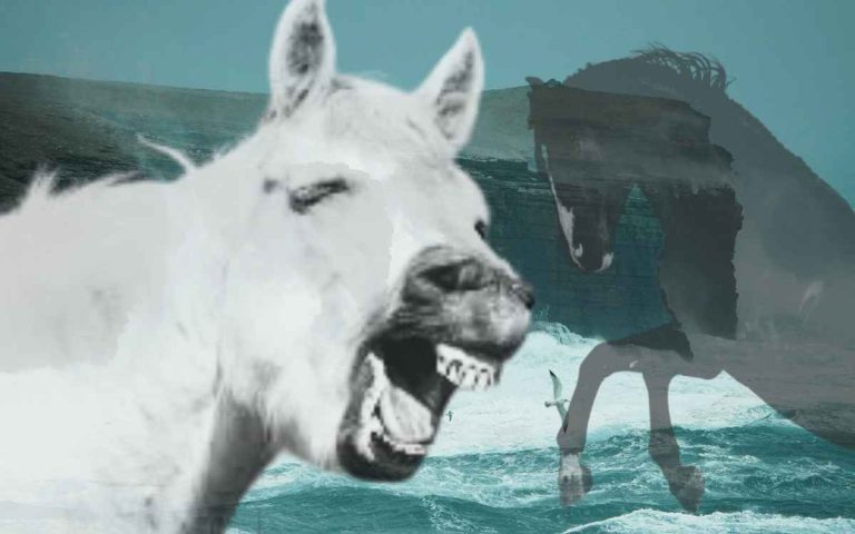 Meet Nuckelavee, Scotland’s Cronenbergian Centaur | Spooky Isles