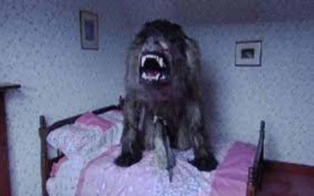 Wild Country 2005 REVIEW | Spooky Isles