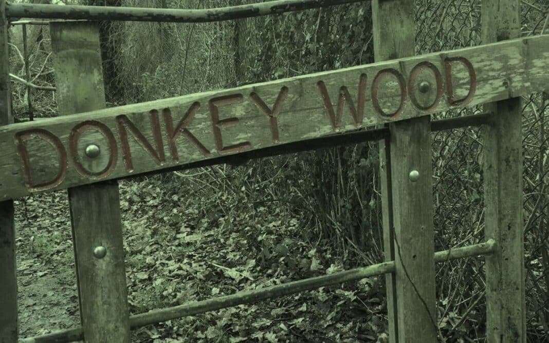The Haunting Of Donkey Wood, West London | Spooky Isles