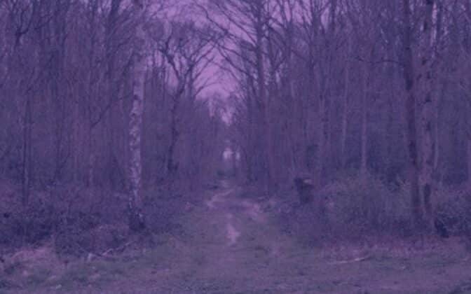 A Journey Into The 'Screaming Woods' Of Pluckley | Spooky Isles