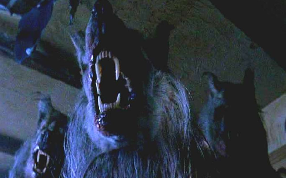 Top 5 British Werewolf Films Of All Time | Spooky Isles