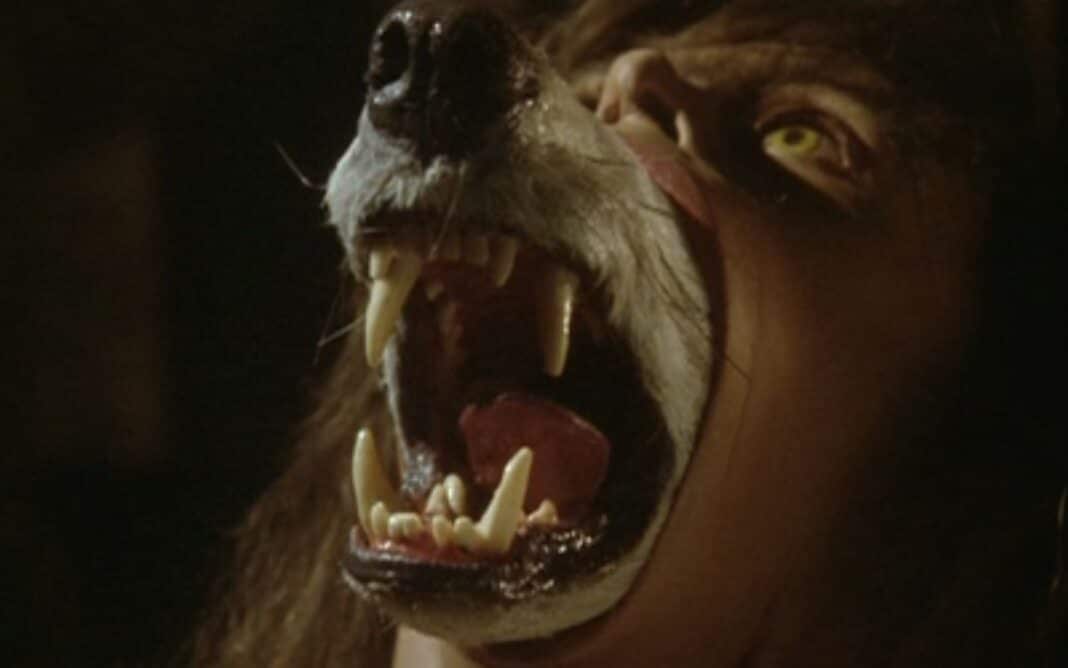 Top 5 British Werewolf Films Of All Time | Spooky Isles