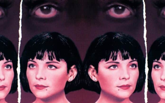 Double Vision 1992 REVIEW | Spooky Isles