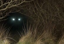 Bodmin Moor: 5 Haunted Places To Visit | Spooky Isles